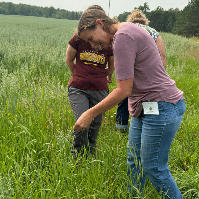2024 Teacher Tours Successfully Completed - Minnesota Agriculture in ...